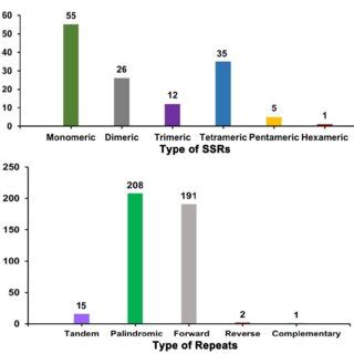 The Codon Preference Analysis Of The Mitochondrial Genome The Download Scientific Diagram