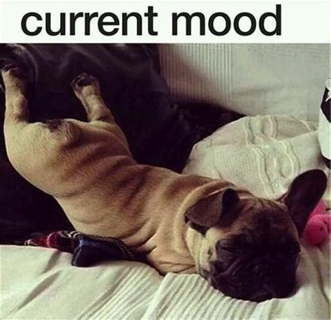 The 15 Funniest Current Mood Memes Mandatory