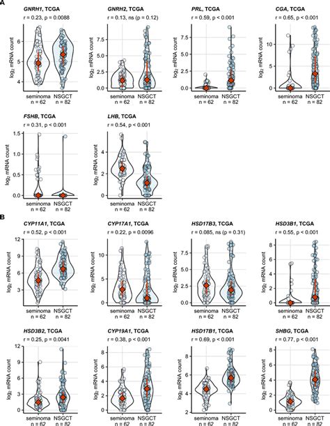 Expression Of Sex Hormone Related Genes In Seminoma And Nsgct Samples Download Scientific