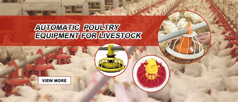 Quality Automatic Poultry Feeding System And Automatic Chicken Feeding System Factory From China