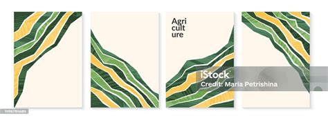 농업 농장 녹색 포스터 디자인입니다 유기적인 추상 필드 벡터 배경입니다 농업 풍경 전단지 농업 비즈니스 템플릿입니다 에코 농지 일러스트레이션 세트 오가닉 패턴 카드 여름
