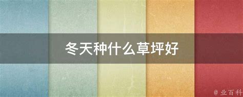 冬天种什么草坪好 业百科
