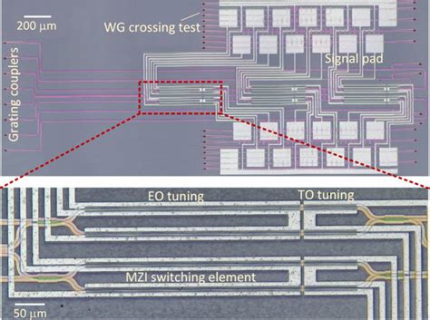Optical Microscope Image Of The Fabricated 4 Times 4 Switch The