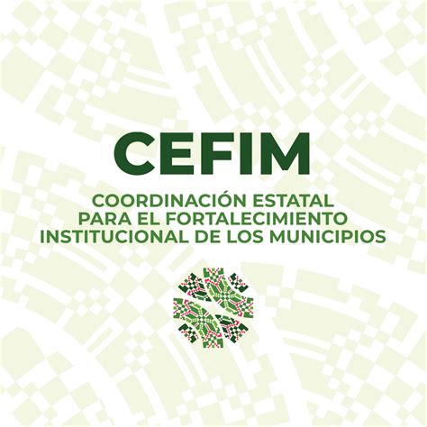Datos Abiertoscoordinación Estatal Para El Fortalecimiento