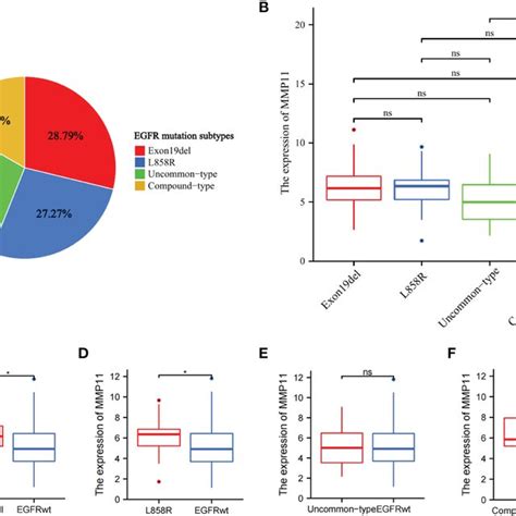 Differential Expression Of Mmp11 Between Different Egfr Mutation