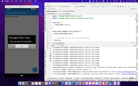 Webviewflutter Can Not Invoke Javascript Function On Ios · Issue