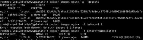 Docker 容器化部署核心实战：从镜像仓库管理、容器多参数运行到 Nginx 服务配置与正反向代理原理解析 Nginx Docker版本可正向代理 Csdn博客