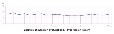 What You Need To Know About Ovulation Dysfunction Homedoc