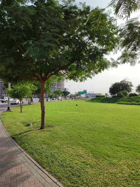 Creek Garden In Dubai Uae Stock Image Image Of Garden 298933707