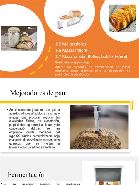 Panaderia Masa Madre Pdf Panes De Masa Fermentada