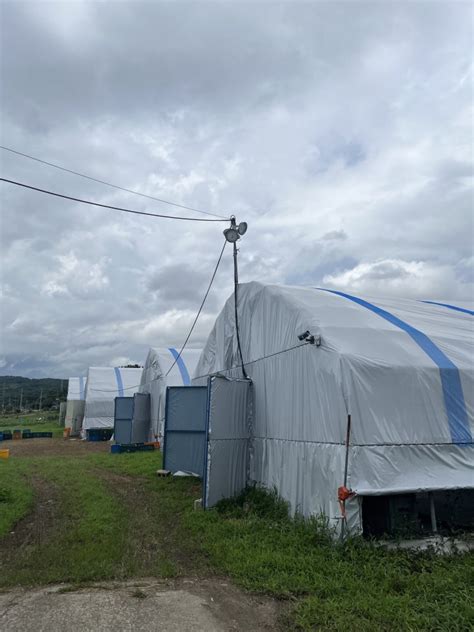 힐링청리농원의 새로운 농장을 소개합니다기러기and거위 분양 판매 네이버 블로그