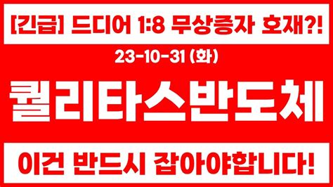 퀄리타스반도체 긴급속보 드디어 나온 호재거리 Youtube