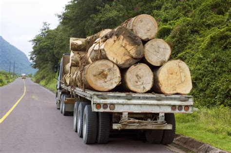 Eu Service For Foreign Policy Instruments 🌐 On X Cecile Plunet