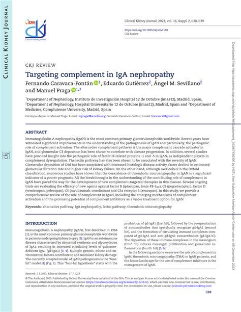 Pdf Targeting Complement In Iga Nephropathy