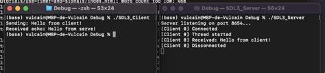 How To Create A Tcp Client Server Application With Sdl3 Net