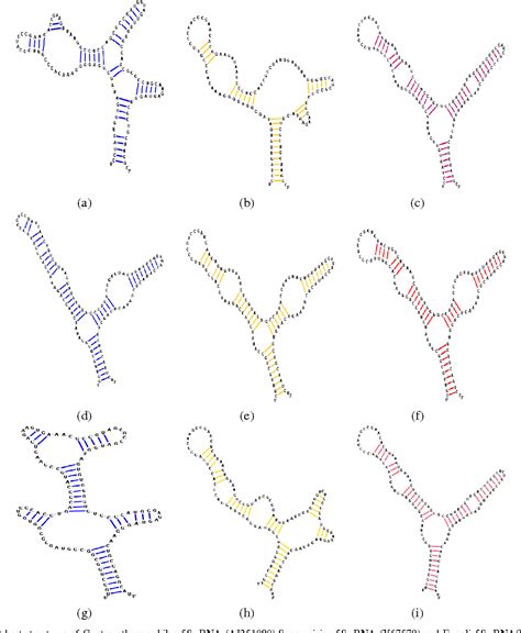 figure 1 from comparison of hsrnafold and rnafold algorithms for rna