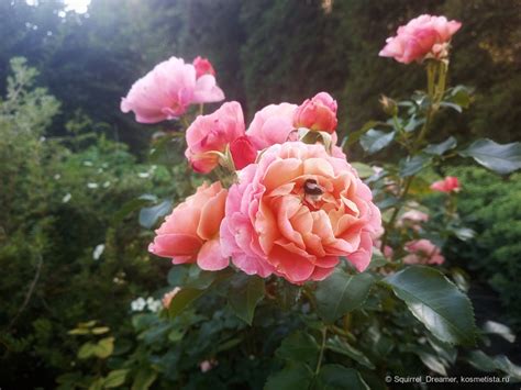 2023й маленький адок Как я едва не сгорела о новых хобби стрессах и косметике Отзывы