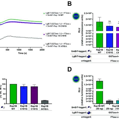 Nanobit Complementation Assay To Measure The Interaction Of Ggtase I
