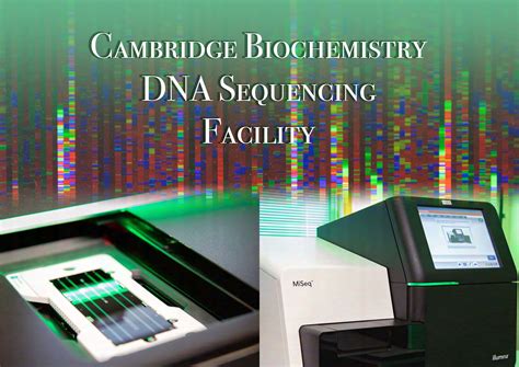 Dna Sequencing Research Facilities At The Department Of Biochemistry