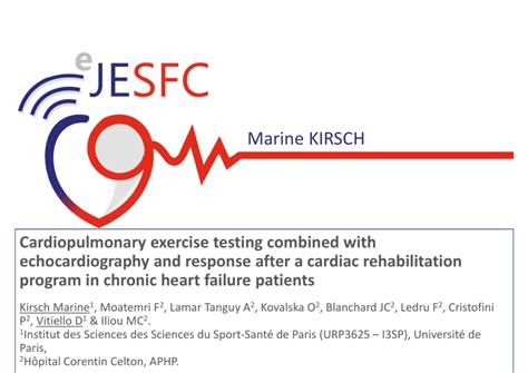 Pdf Cardiopulmonary Exercise Testing Combined With Echocardiography