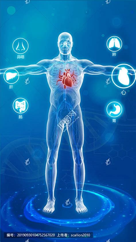 3d人体科技 花瓣网