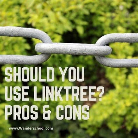 Should You Use Linktree The Pros And Cons Wanderschool
