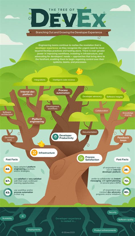 Developer Experience Branching Out To Grow Infographic