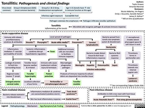 Tonsillitis Pathogenesis And Clinical Findings Calgary Guide