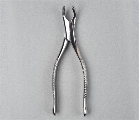 Extraction Forceps 17 Surgical Instruments