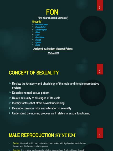 Cncept Of Sexulaity Pdf Sexual Dysfunction Human Sexuality