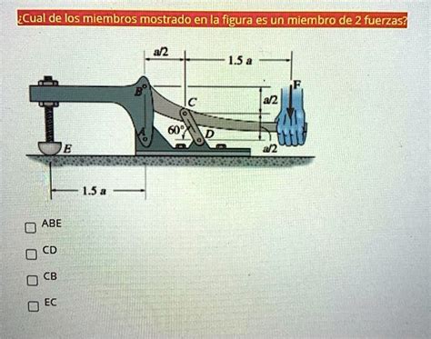 ¿cual De Los Miembros Mostrado En La Figura Es Un Miembro De