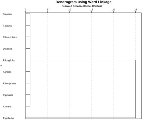Hca For Various Tree Species Using Wards Method Download Scientific Diagram