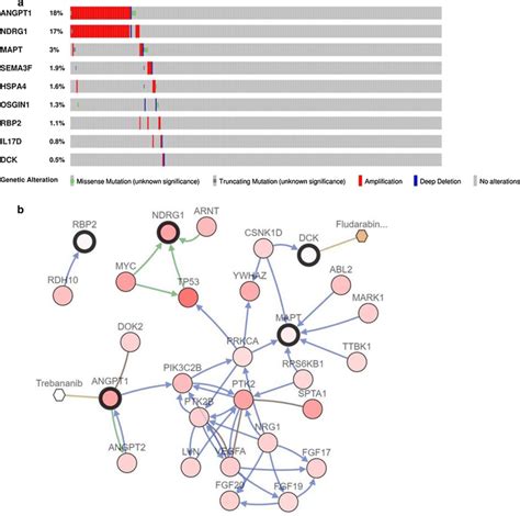 Genetic Alterations And Biological Function Of Nine Prognostic Download Scientific Diagram