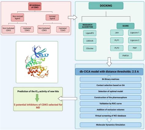 Of Db‐cica Structure‐based And Molecular Dynamics Modeling Workflow