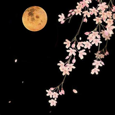 正月十五，花好月圆