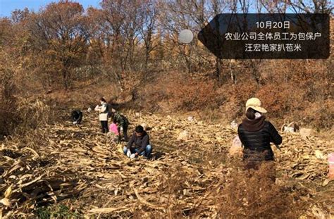 “脚下沾有多少泥土，心中就沉淀多少真情” ——记度假区秋忙季节开展为贫困户支农行动