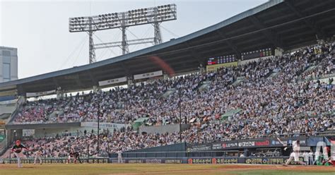반갑다 야구야푸근한 봄 날씨 속 프로야구 오늘 플레이 볼