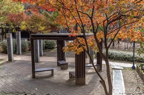 판교공원 관광 정보와 주변 관광 명소 및 근처 맛집 여행 정보