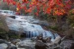 Fall Color And Foliage Guide For 2025