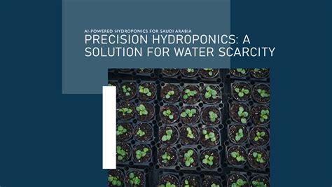 Optimizing Hydroponics With Ai