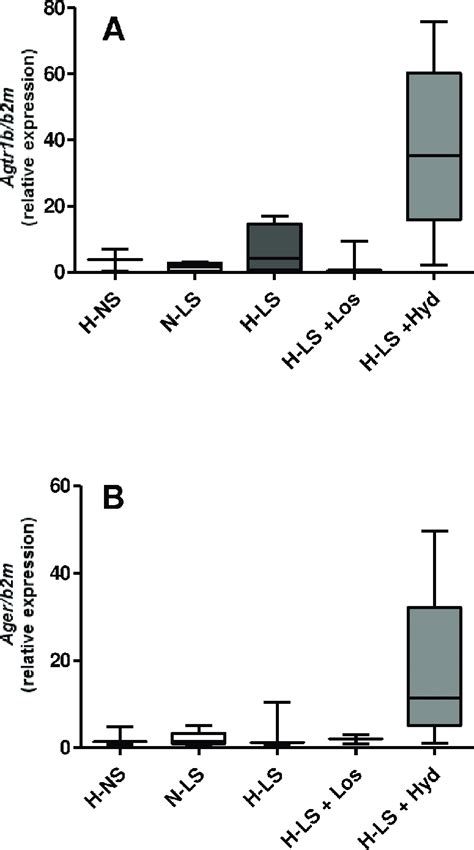 Gene Expression Mrna Of The At1 Receptor Agtr1 And Rage Ager In