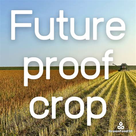 As Climate Resilient Crop Manaa Arafet