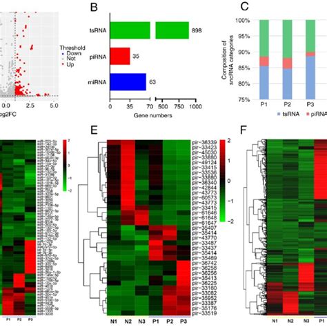 Comparative Analysis Of Sncrnas In Cpps Patients And Health Download Scientific Diagram