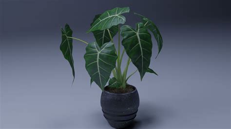 Plant Pot Free 3d Models Stl Stl Download Free3d