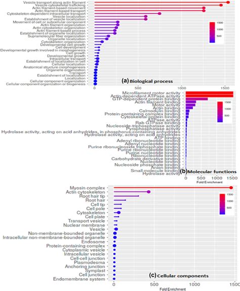 A Biological Process B Molecular Function C Cellular Download Scientific Diagram