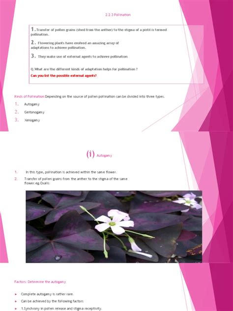 Flowering Plants Chapter 2 Converted Merged Pdf Flowers Pollination