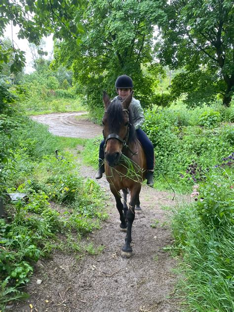 Stajnia Lajkonik Added A New Photo Stajnia Lajkonik