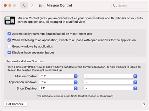 MAC OS Interface Features Porcuna IO