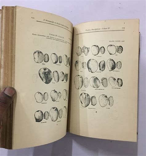 A Monograph On Classification And Nomenclature Of South Indian Mangoes By Naik Kc Usedgood A Monograph On Classification And Nomenclature Of South Indian Mangoes By Naik Kc Usedgood