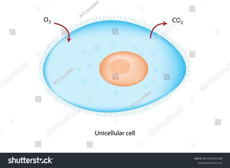 1 646 Gas Diffusion Images Stock Photos Vectors Shutterstock